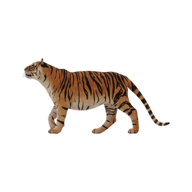 Category-Aware 3D Object Composition with Disentangled Texture and ...